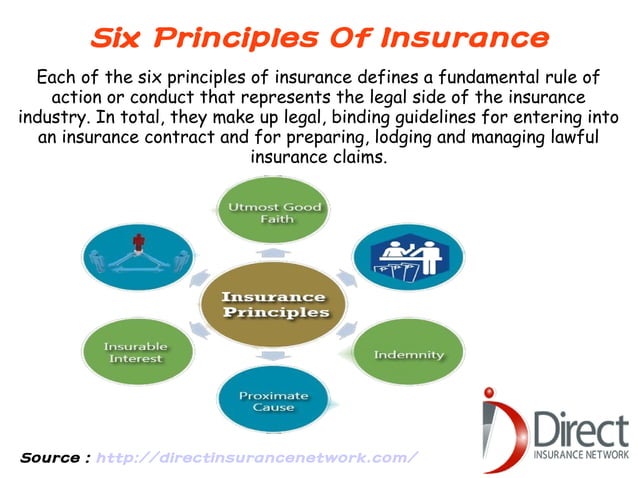 Six Principles of Insurance | PDF