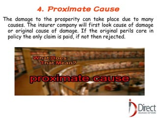 Six Principles of Insurance | PDF