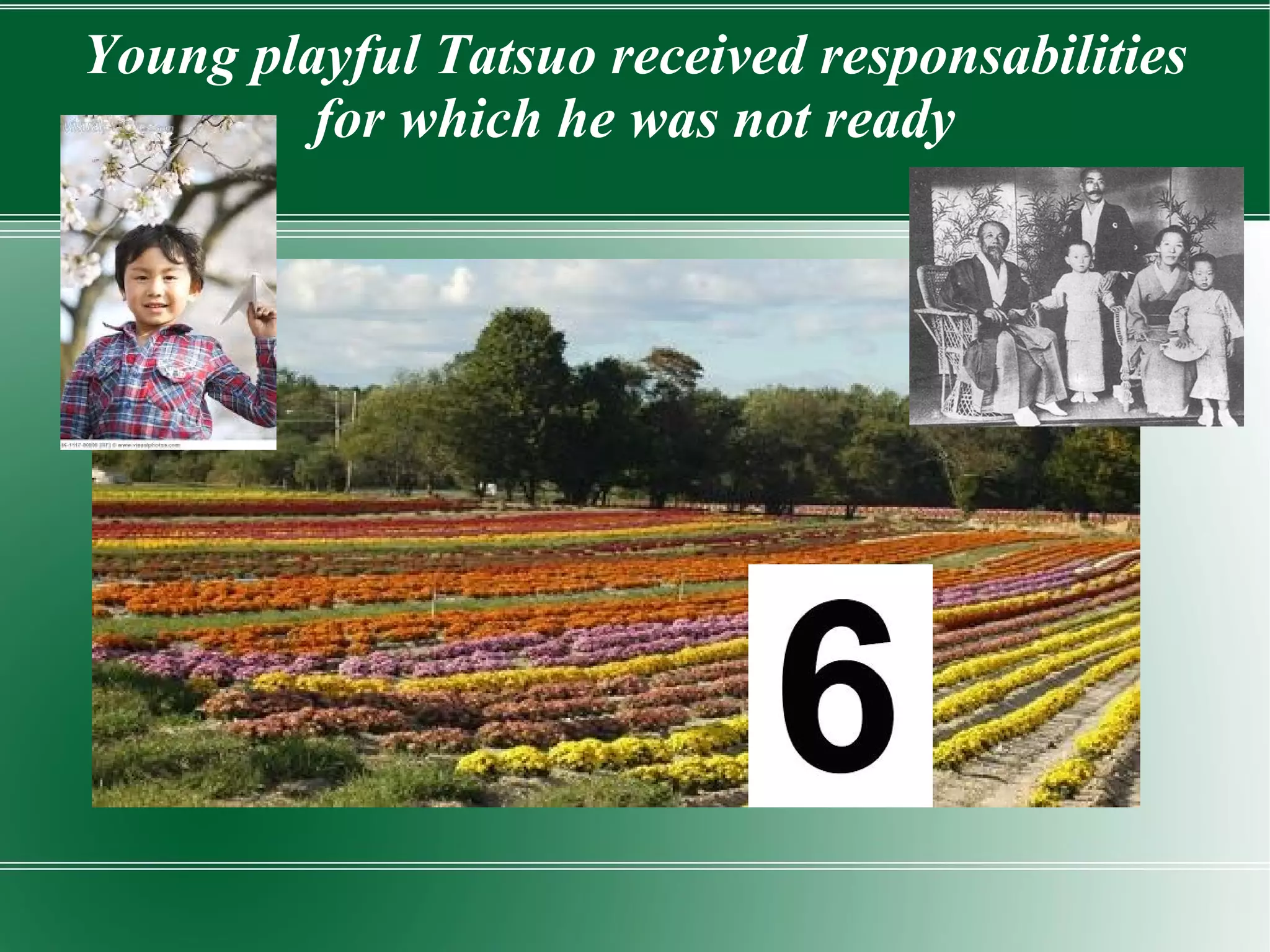 Six rows of flowers | PPT