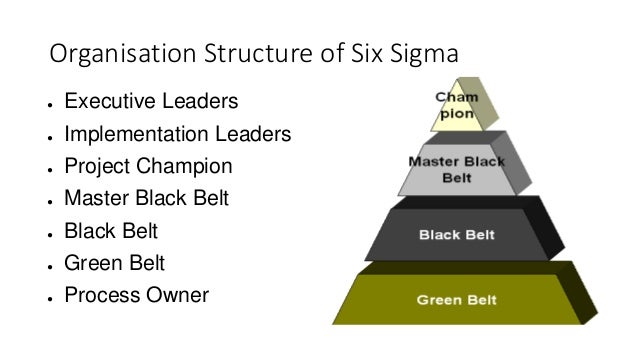 Six Sigma Organizational Structure