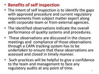 Six System Inspection Model.pptx