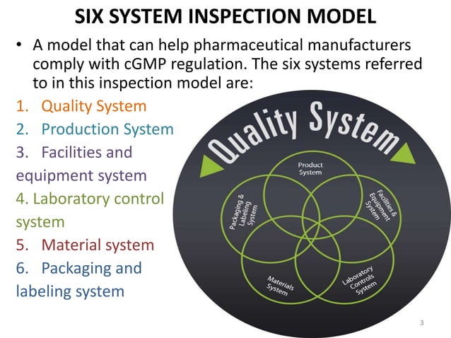 Six System Inspection Model.pptx