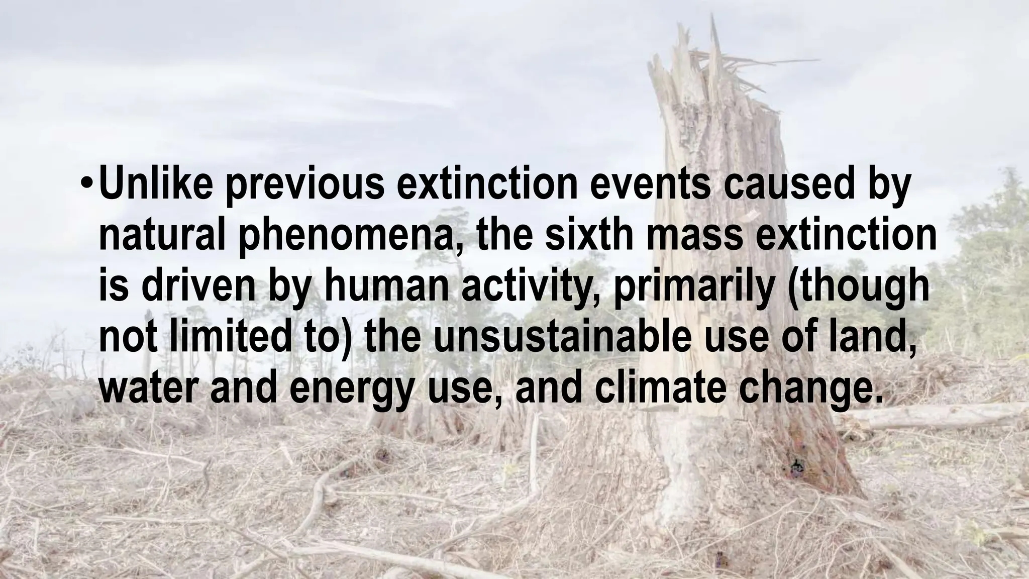 Sixth Mass Extinction Are Alive Or Dead?.pptx