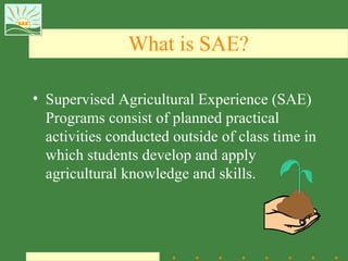 Six types of SAE's | PPT