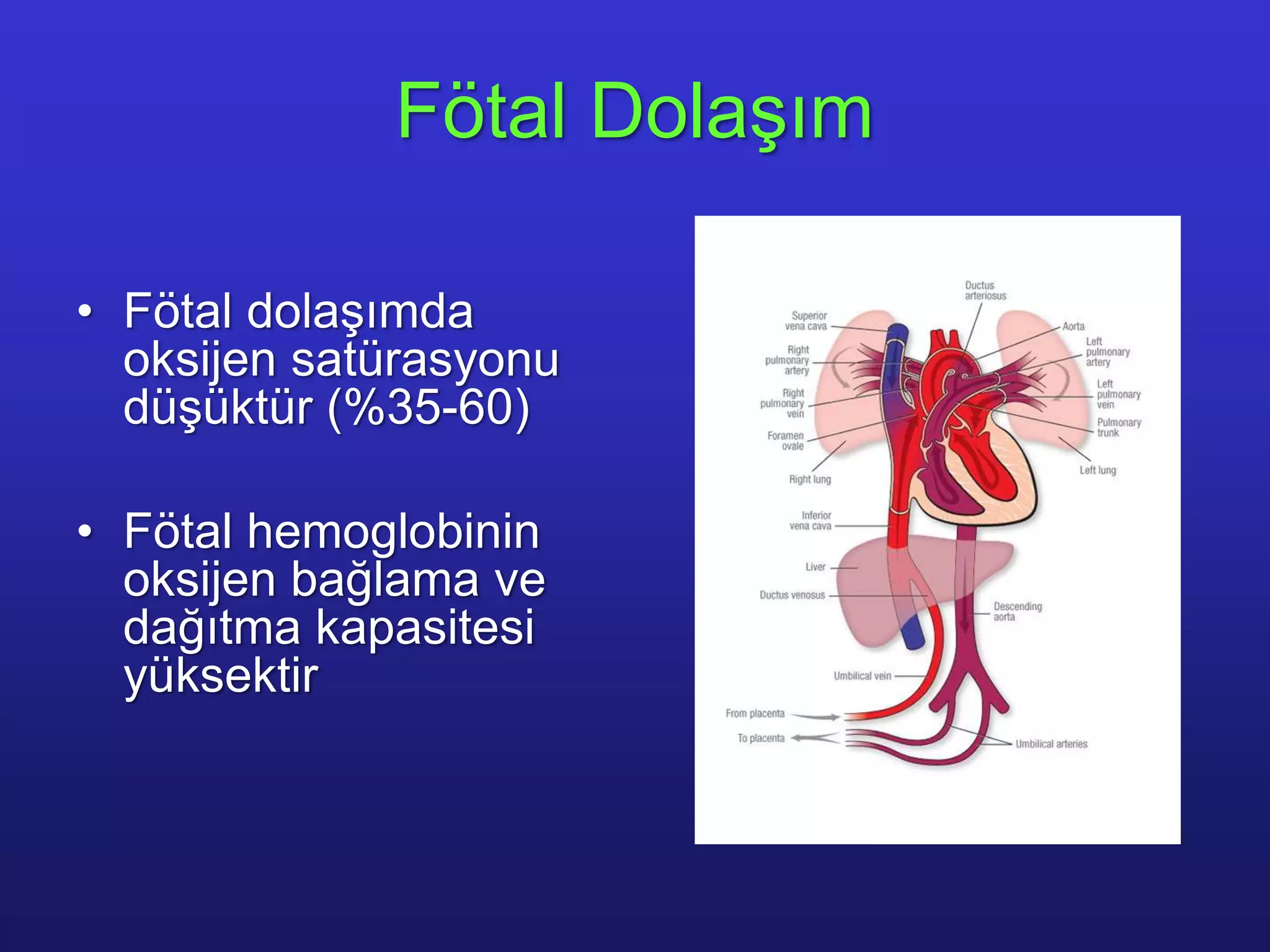 Siyanotik kongenital kalp hastaliklari genel tanimlar dr. yusuf kenan ...