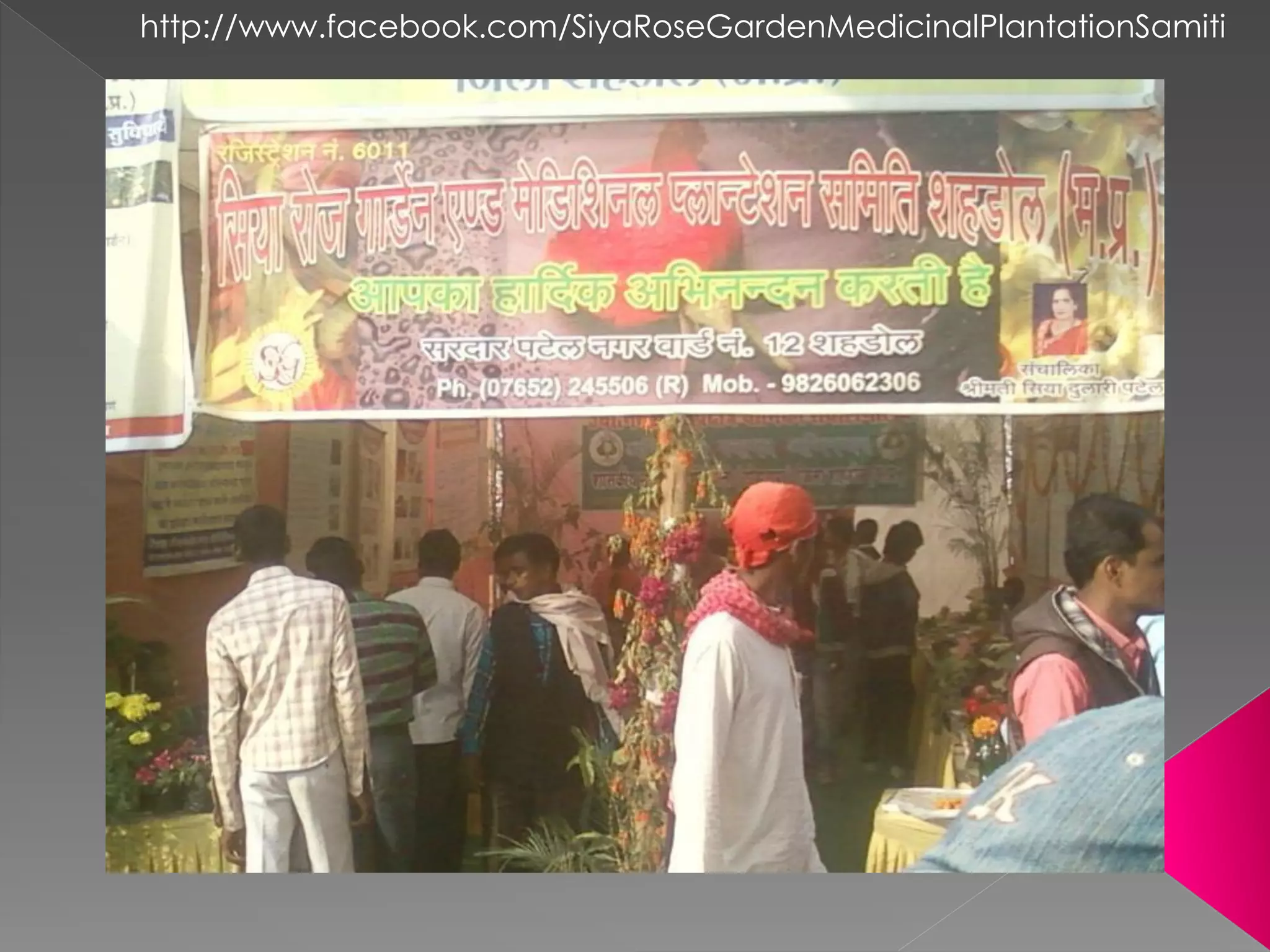Siya rose garden and medicinal plantation samiti presentation 2013 | PDF