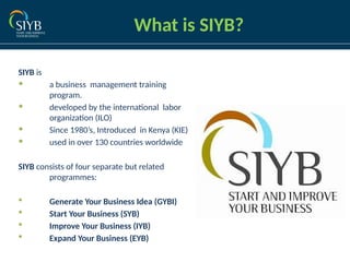 SIYB GLOBAL OVERVIEW for those who are interested. | PPTX
