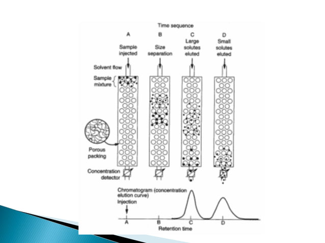 Size Exclusion Chromatography | PPT | Chemistry | Science