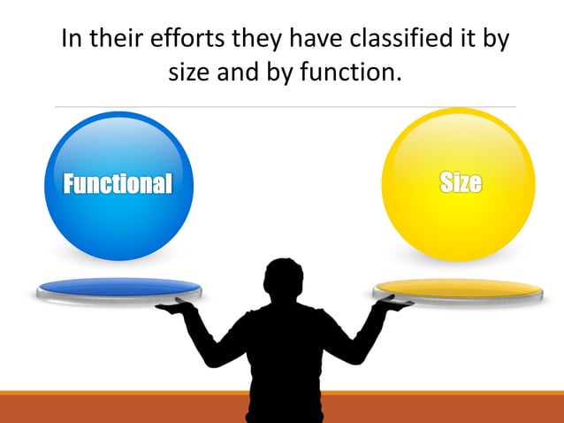 Size and functional distribution of income | PPTX