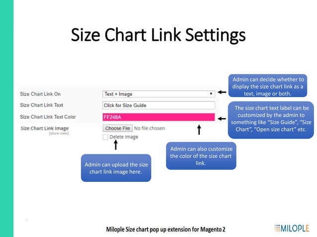 Magneto2 Size chart popup extension: User Guide | PPT