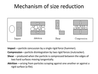 Size reduction (GIKI) | PPTX