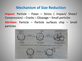SIZE REDUCTION.pptx
