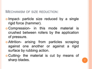 Size reduction by ankita yagnik | PPTX