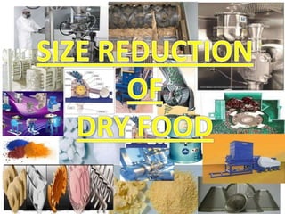 SIZE REDUCTION EQUIPMENT of agricultural | PPTX