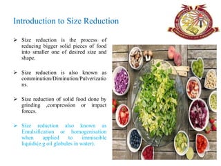 Size reduction: Size Reduction Of Fibrous Foods | PPTX
