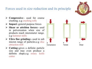 Size reduction: Size Reduction Of Fibrous Foods | PPTX