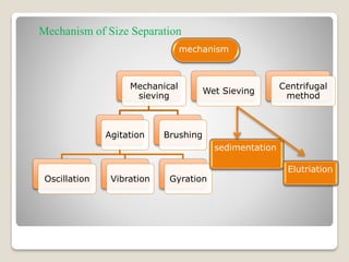 Size sepration | PDF