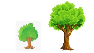 Sizes of Things | PPTX