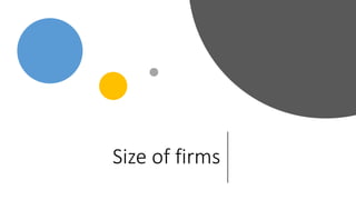 Sizes and Types of Firms | PPTX