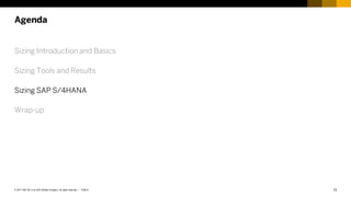 Sizing sap s 4 hana using the quick sizer tool | PDF | Databases ...