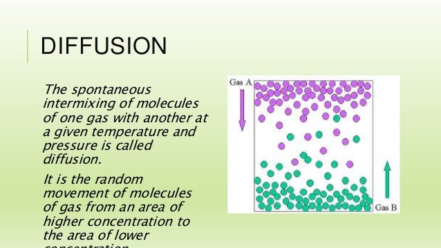 Diffusion in Gases