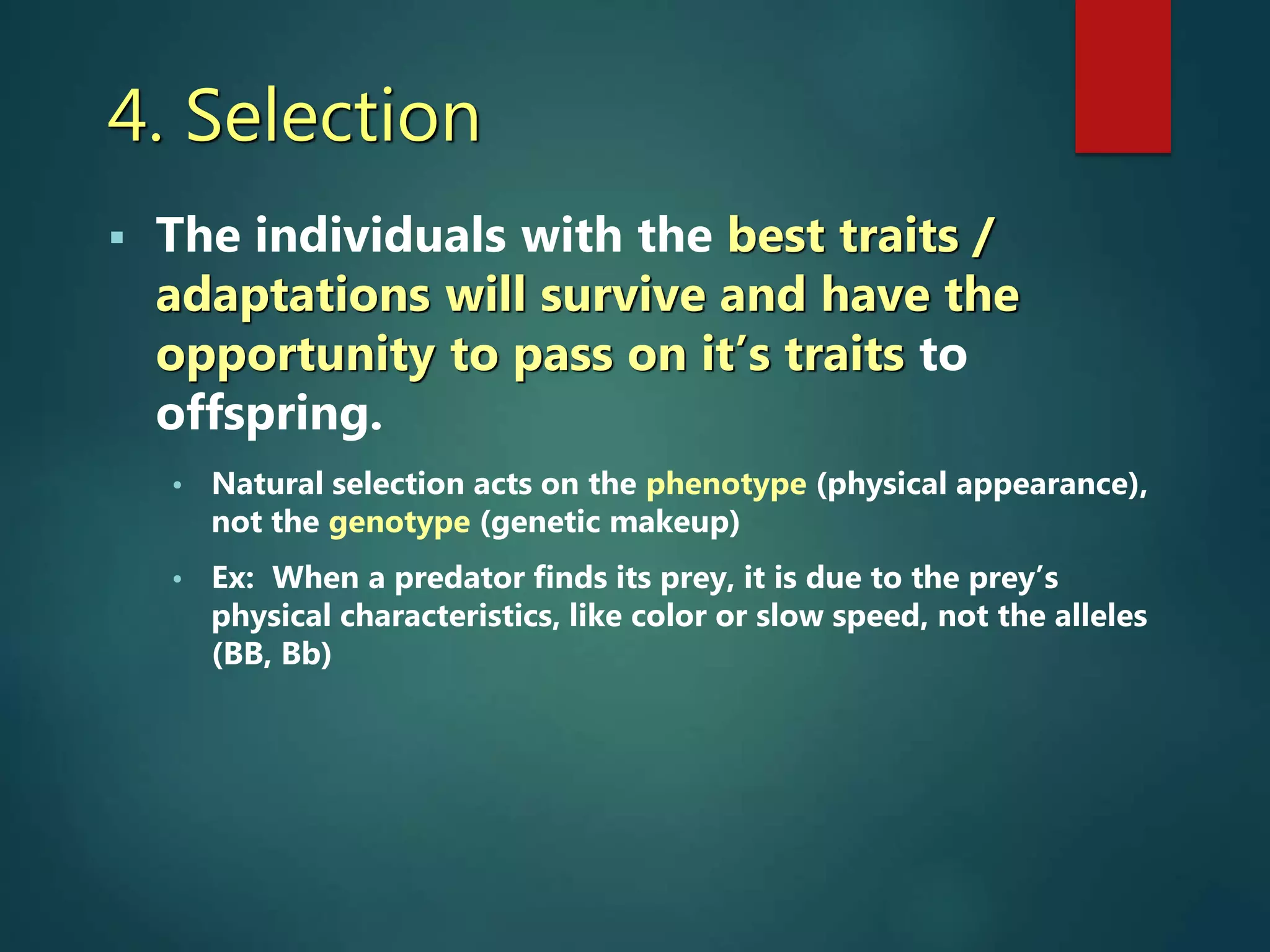 Evolution and natural_selection | PPTX
