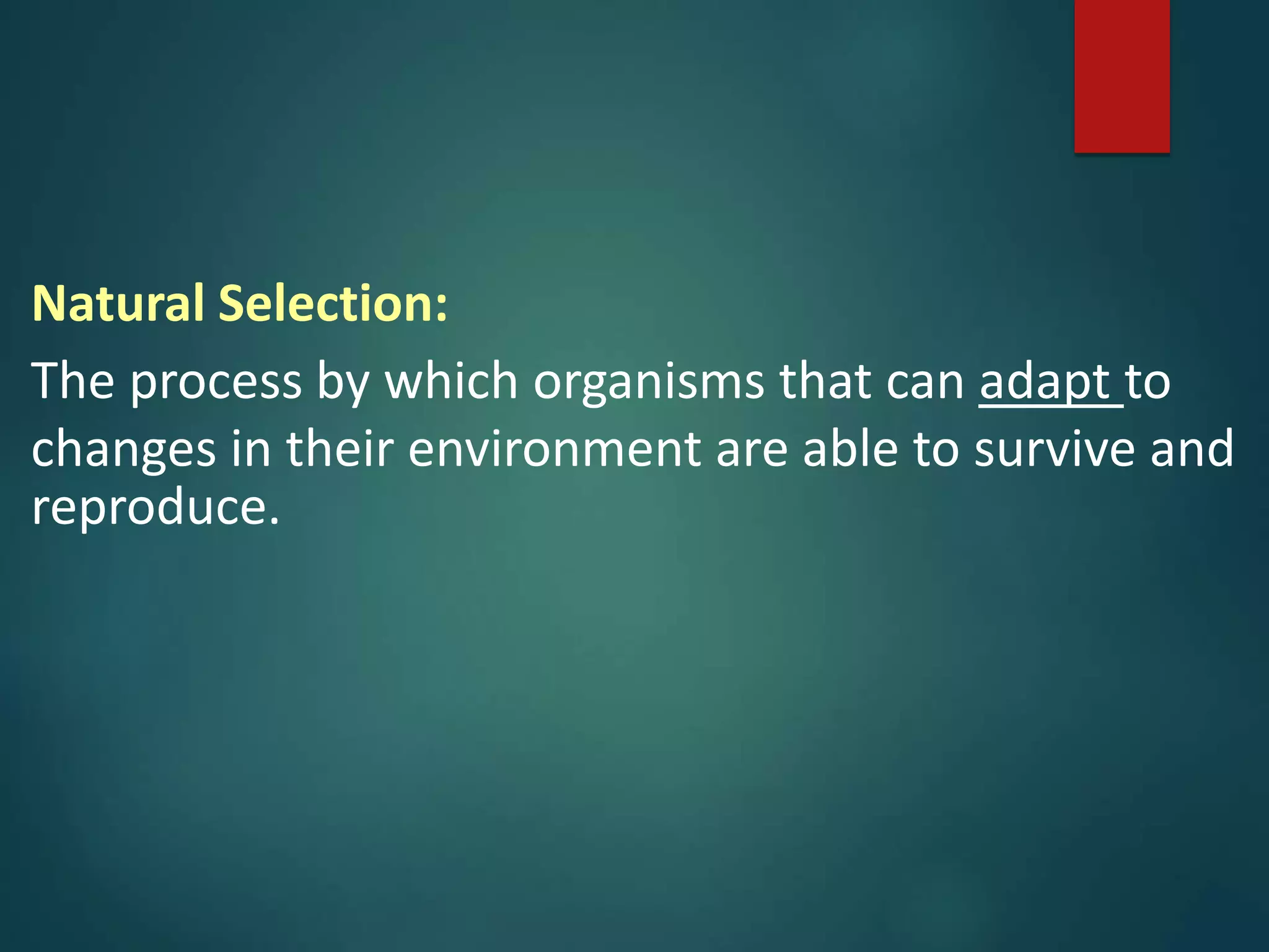 Evolution and natural_selection | PPTX
