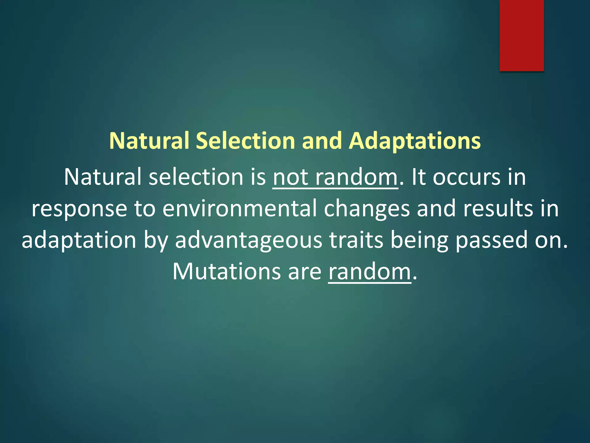 Evolution and natural_selection | PPTX