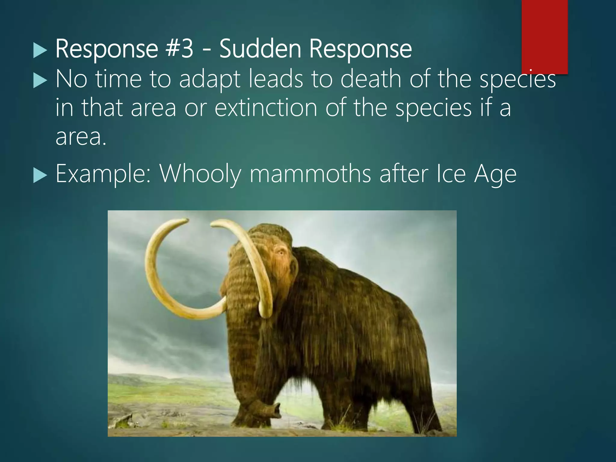 Evolution and natural_selection | PPTX