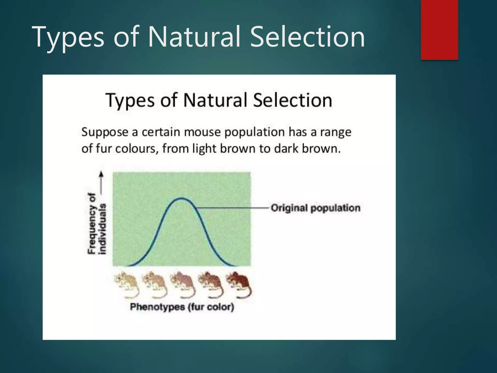 Evolution and natural_selection | PPTX