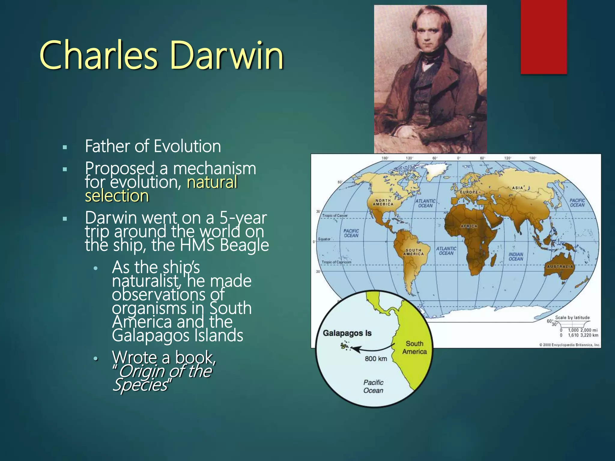 Evolution and natural_selection | PPTX