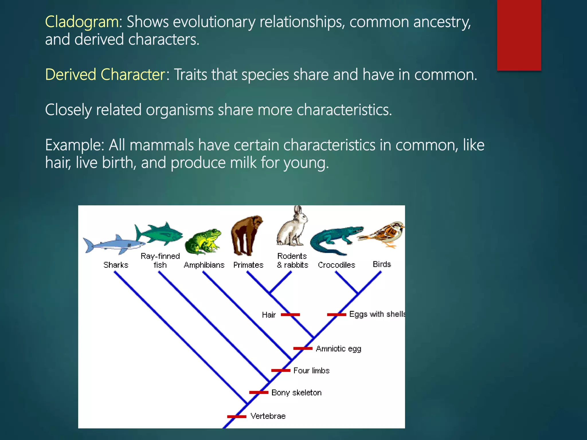 Evolution and natural_selection | PPTX