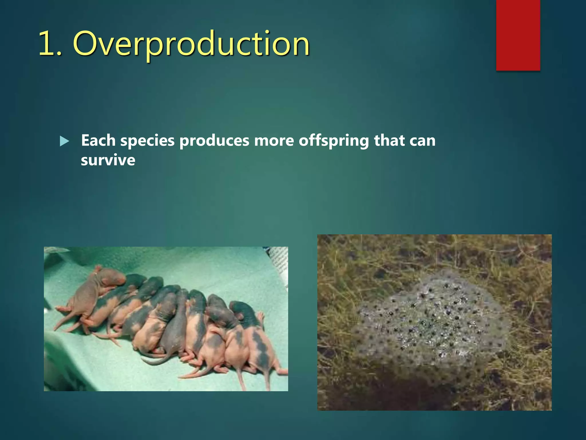 Evolution and natural_selection | PPTX