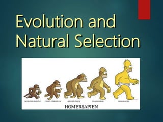 Evolution and natural_selection | PPT