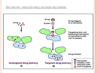 Role of nano drug delivery for tuberculosis treatment. | PPT