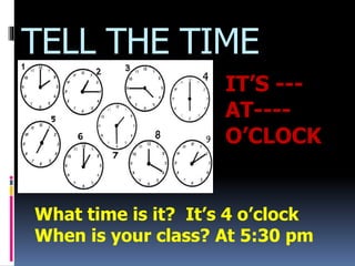 Wh questions .. iNFORMATION QUESTIONS. | PPTX