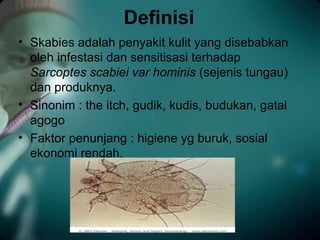 Skabies | PPT