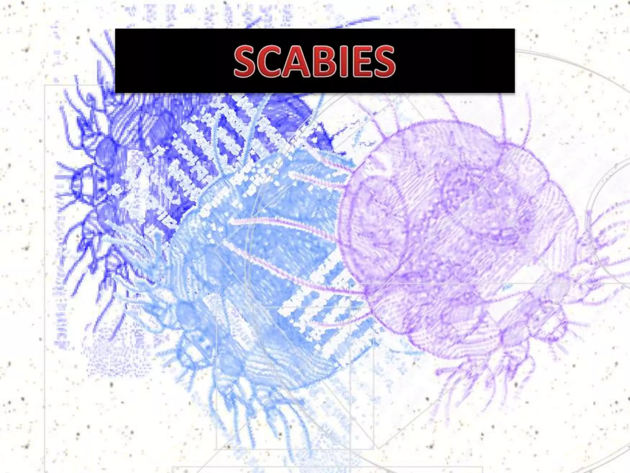 SKABIES PENYULUHAN.ppt