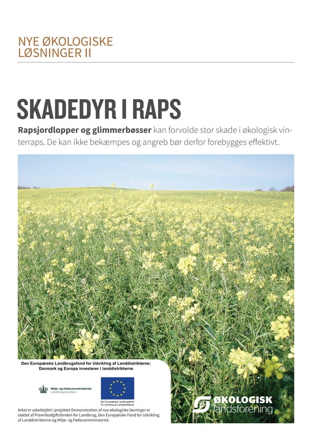 Skadedyr i raps | PDF