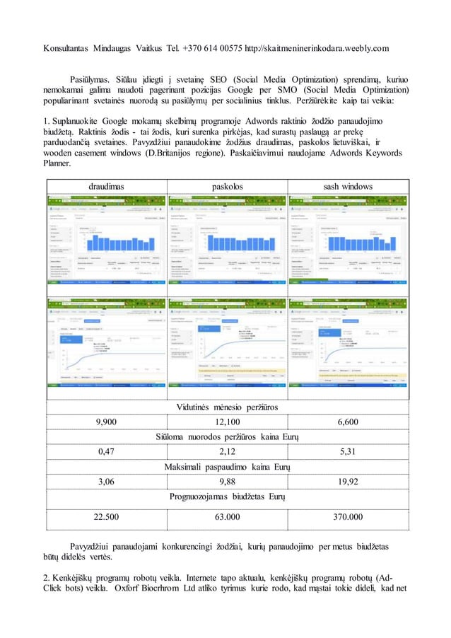 Skaitmenine rinkodara | PDF | Free download