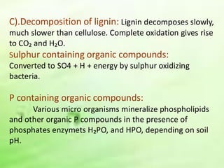 Decomposition of organic matter,marine microbiology | PDF