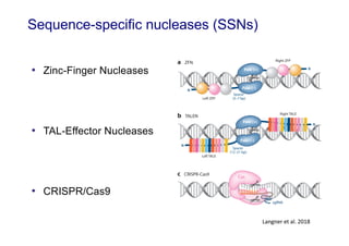 CRISPR Crops--a talk by Sophien Kamoun at Science Portal BD | PPT