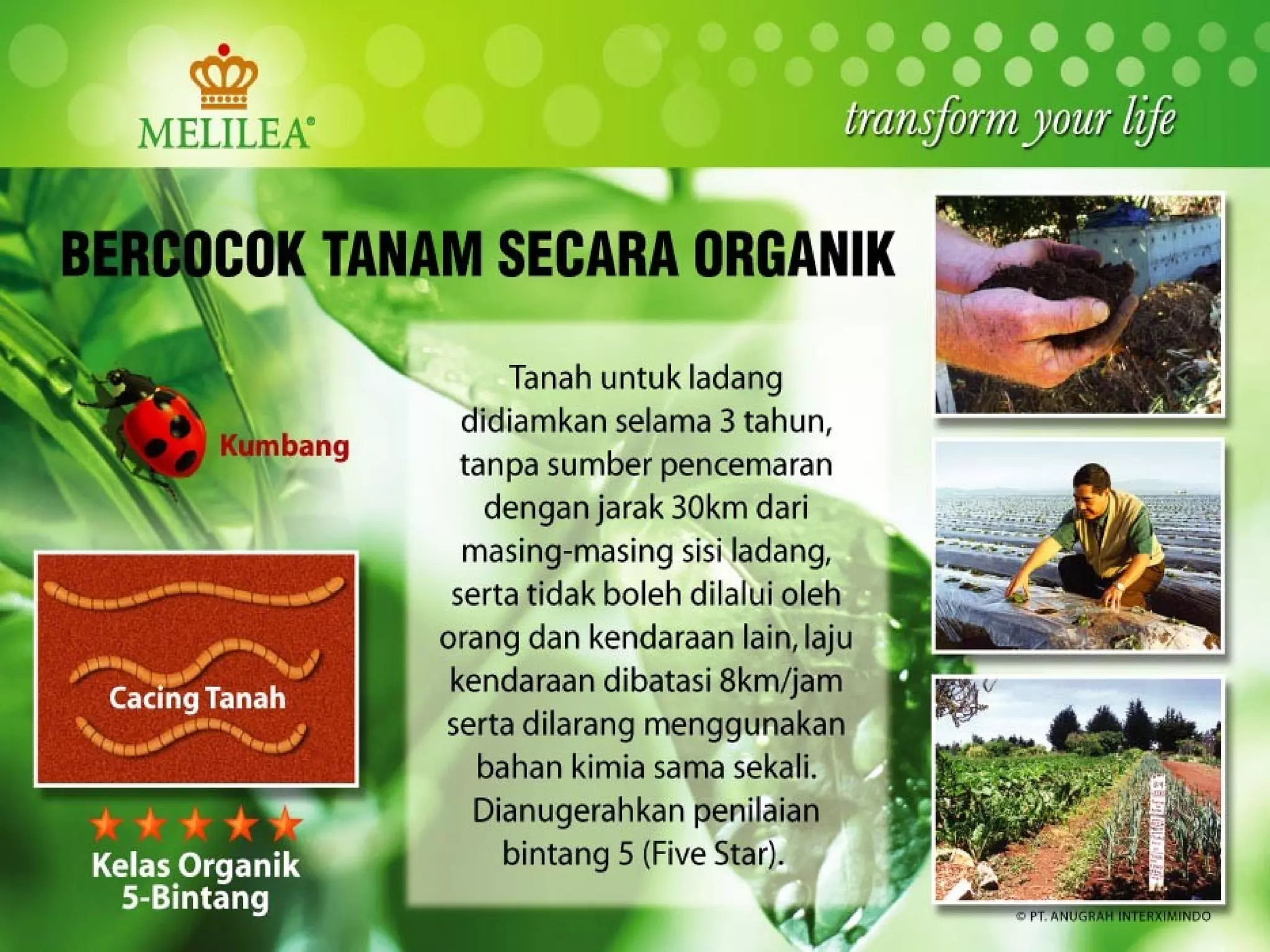 strategi generik porter | PPT