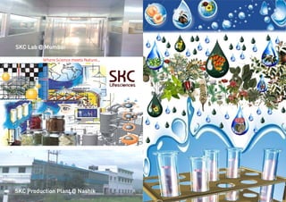 Skc lifesciences presentation | PDF