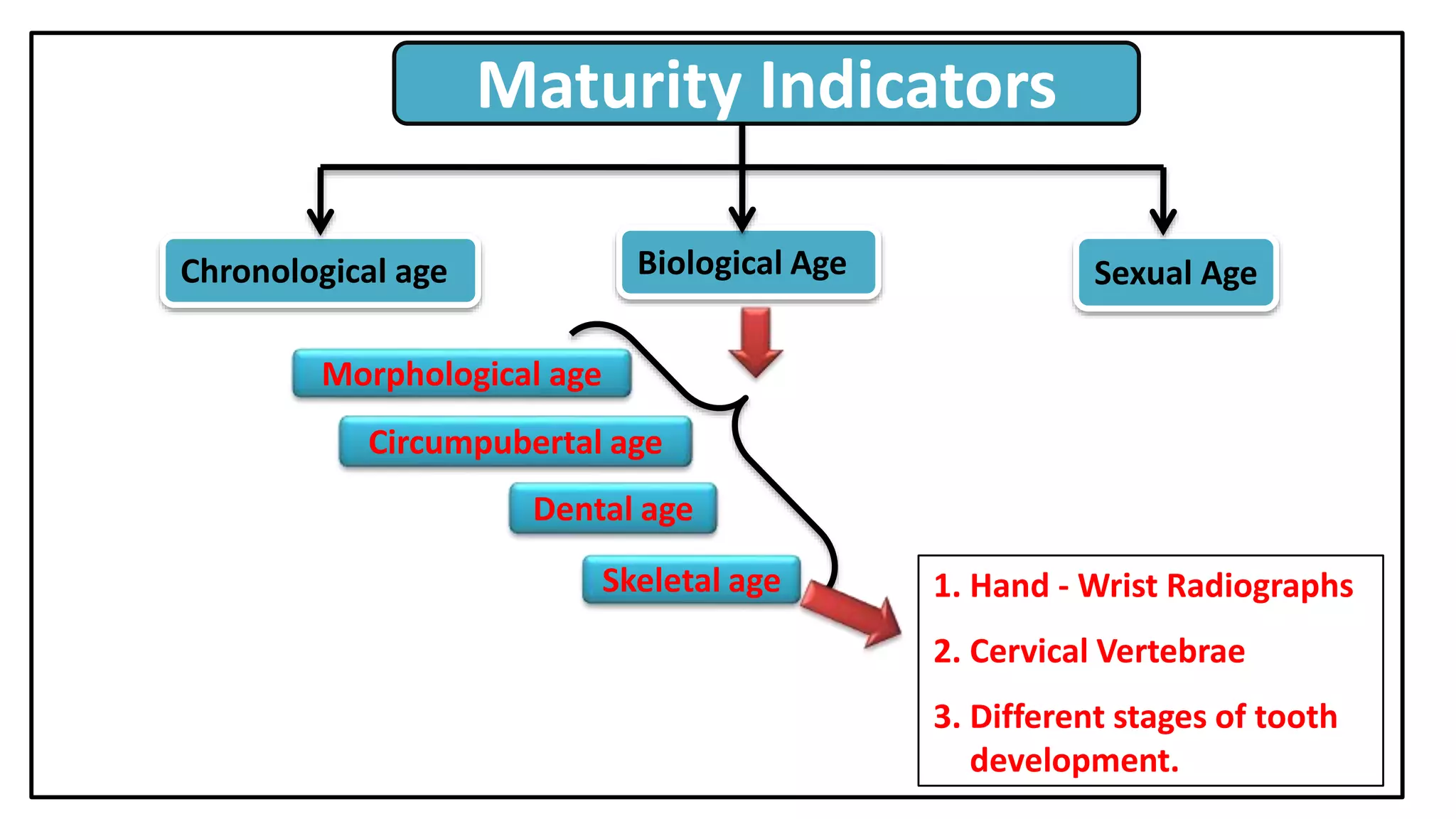 Skeetal maturity indicators | PPTX