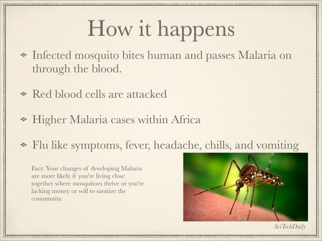 SkeeTer-BeeTer | PPT