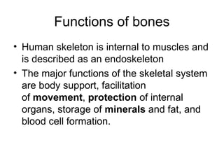skeletal system notes for medical students | PPT