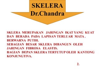 Skelera | PPTX