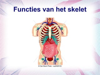 Skelet | ODP