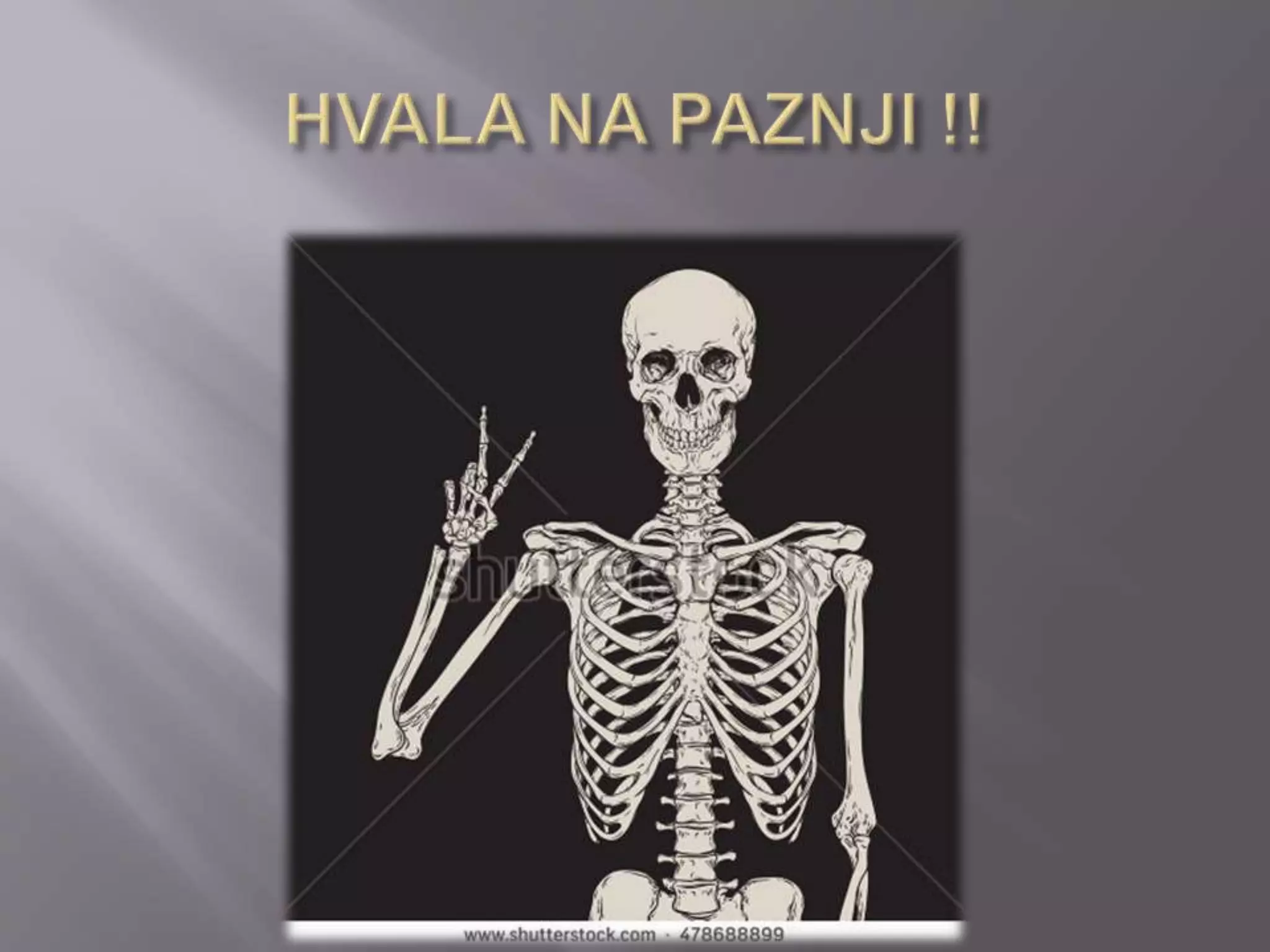 Skelet coveka | PPTX